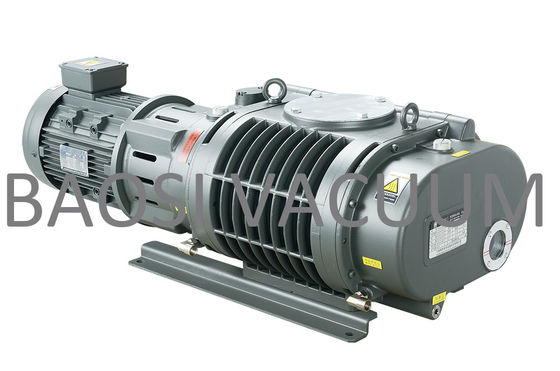 100m3/H Mechanical Roots Vane Type Vacuum Pump two stage